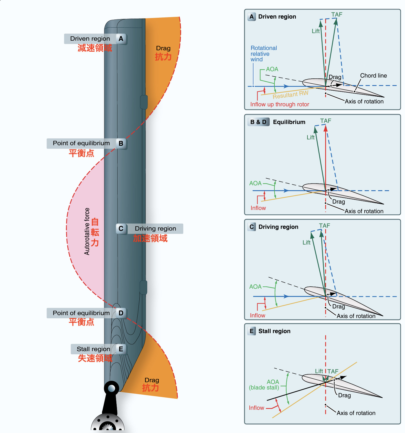 オートローテーション【ヘリコプターの空力】 | Feel Free to Fly