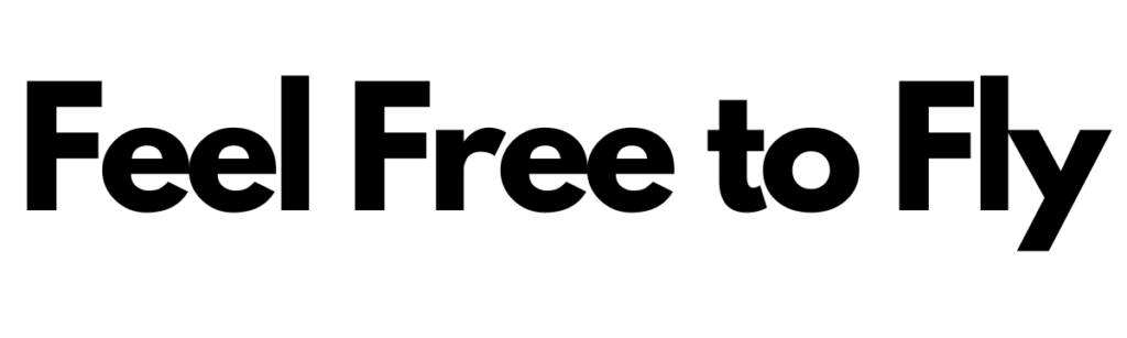 IAS・CAS・EAS・TAS・GS【航空機の速度の種類】 | Feel Free to Fly